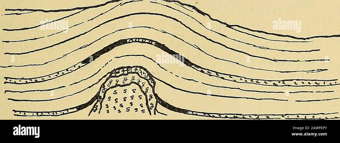 Asymmetrical Anticline