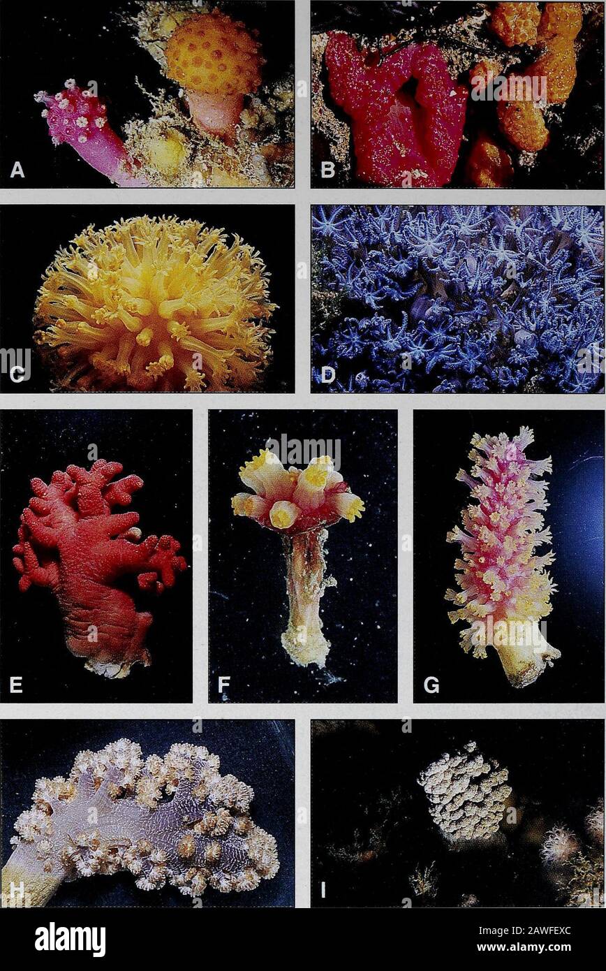 Posbus hi-res stock photography and images - Alamy