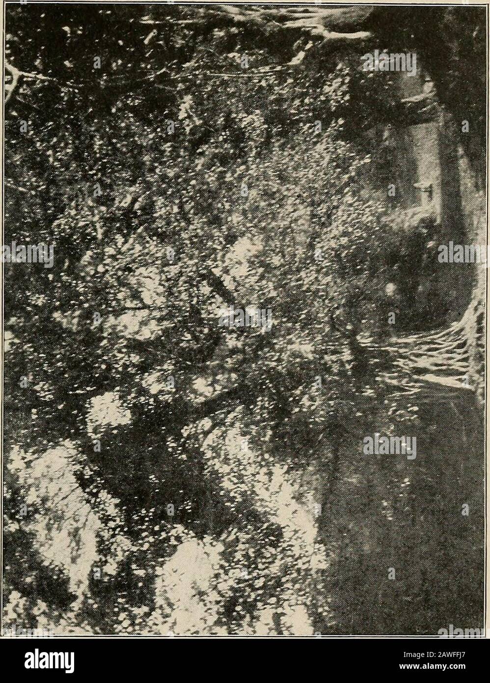 The stump of a volcano hi-res stock photography and images - Alamy