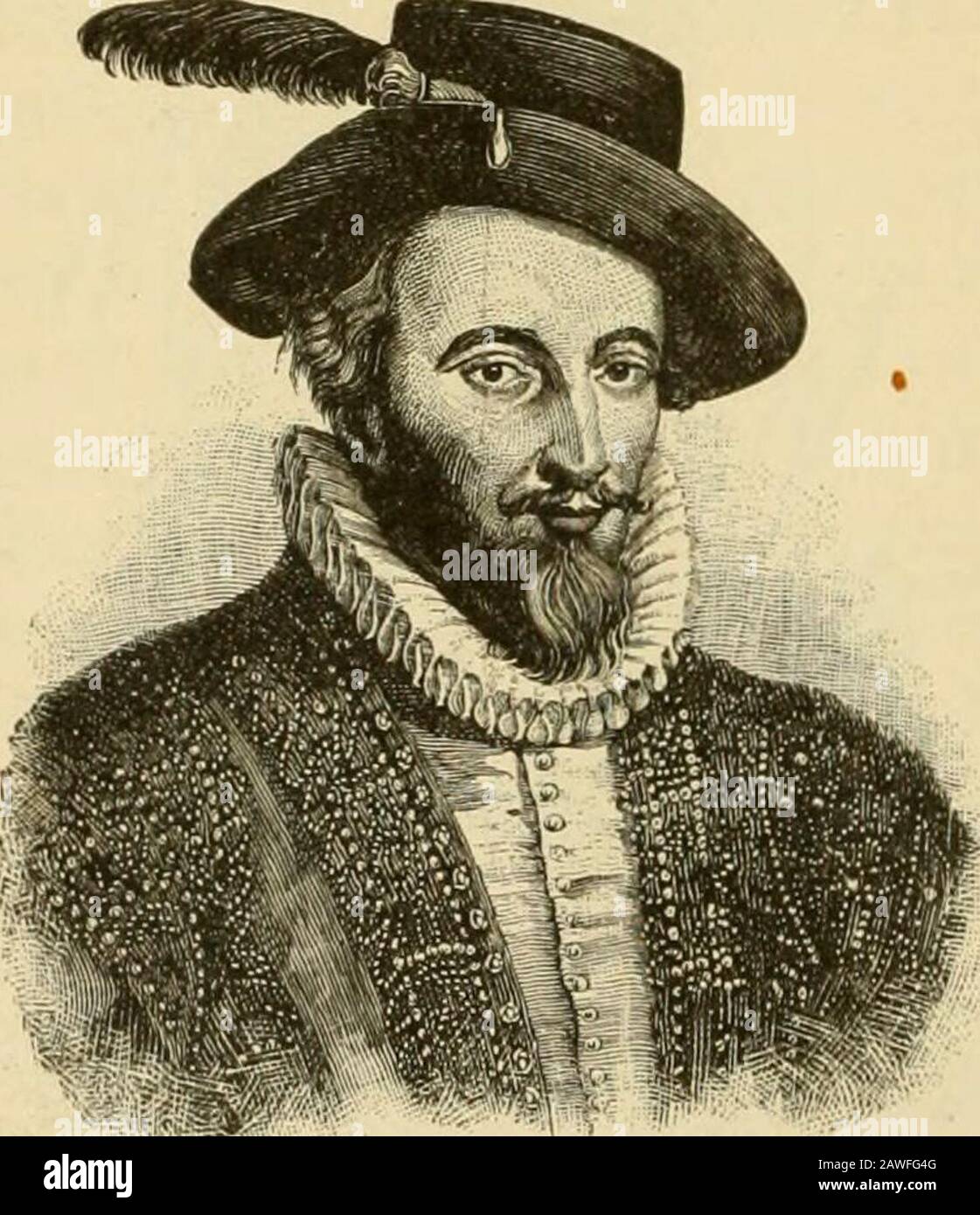 King of spains beard hi-res stock photography and images - Alamy
