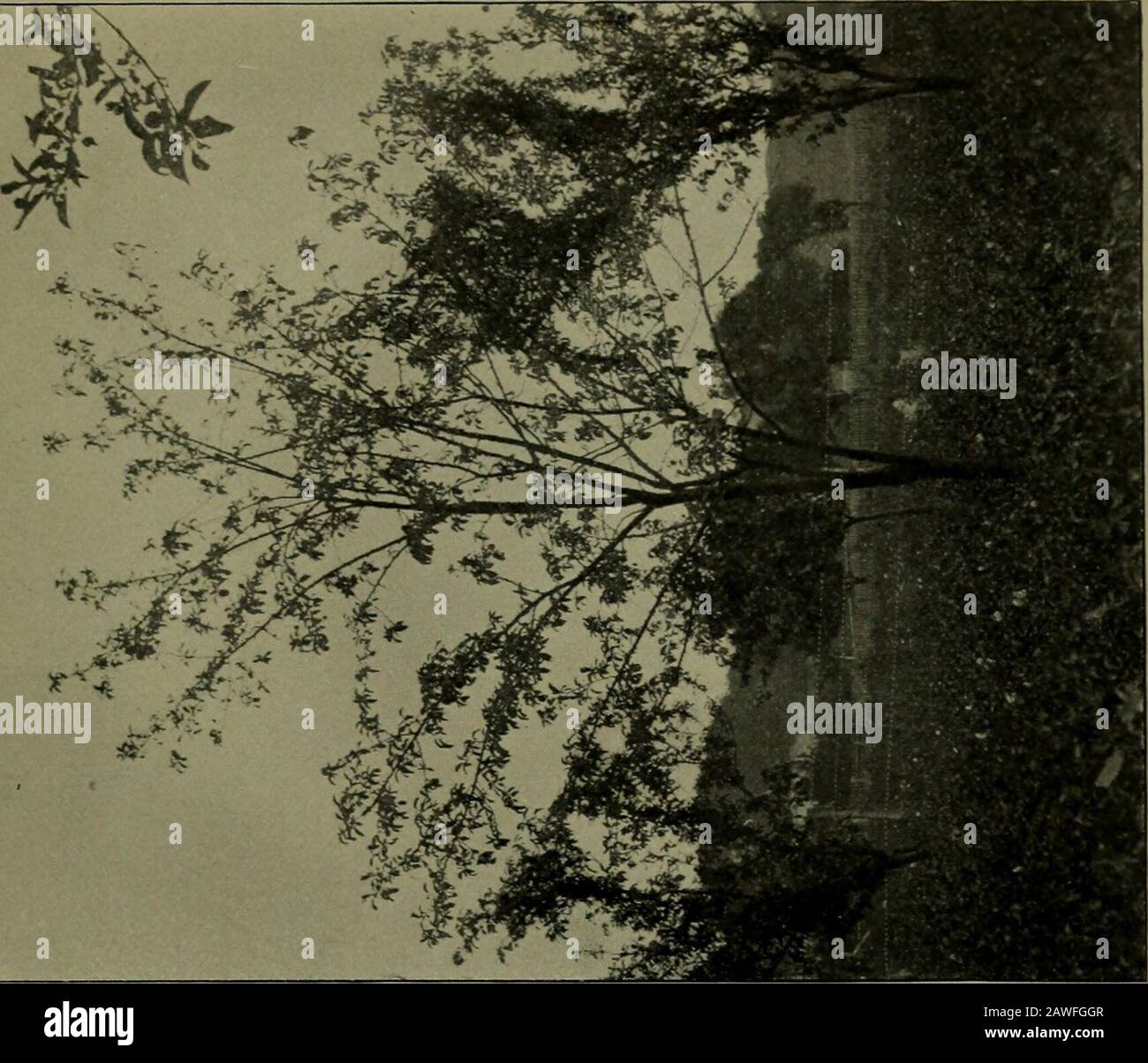 Annual report of the Regents . 3 H=. O i §. ??^^St ^ ^^^fL. v^Bji i^^r ...