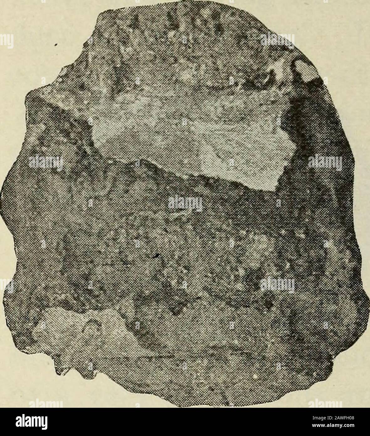 Archaeological society of ohio hi-res stock photography and images - Alamy