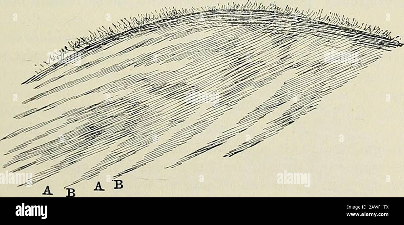 Slaty Cleavage High Resolution Stock Photography and Images - Alamy