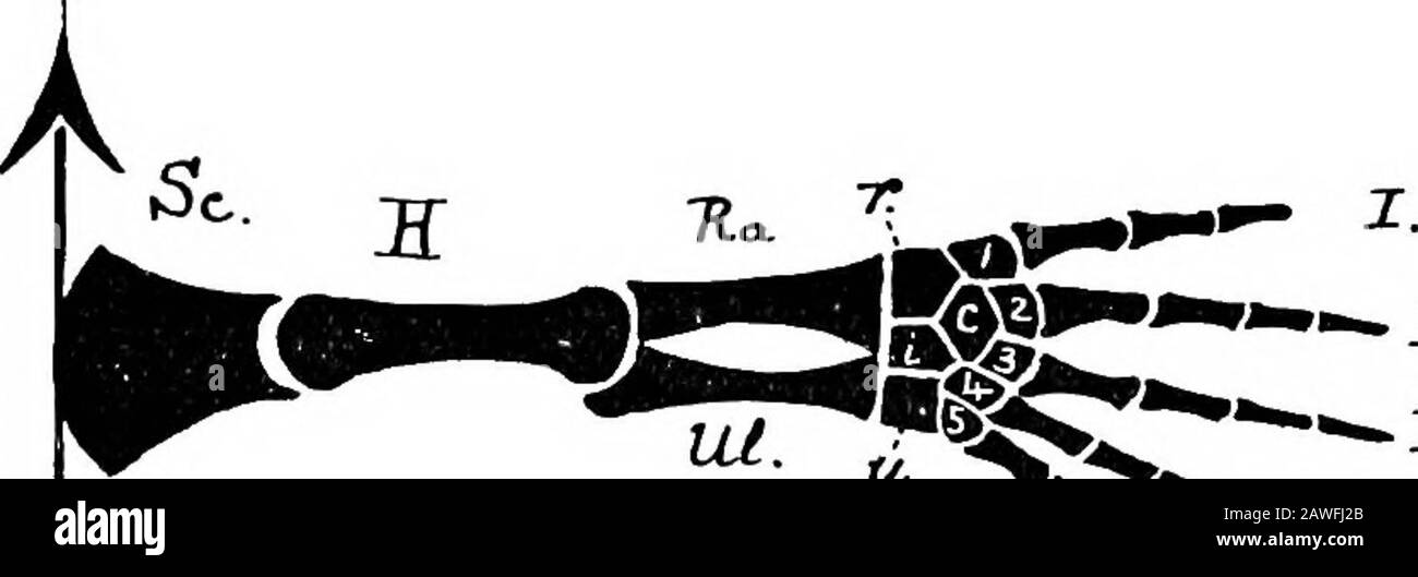 Principal axis hi-res stock photography and images - Alamy