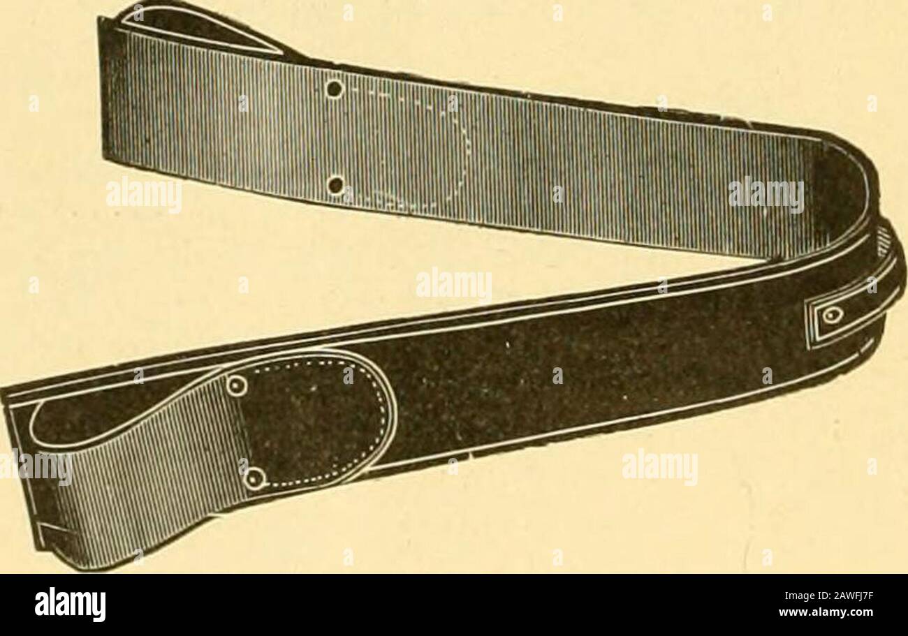 Special harness catalogue, season 1910 and 1911 Stock Photo - Alamy