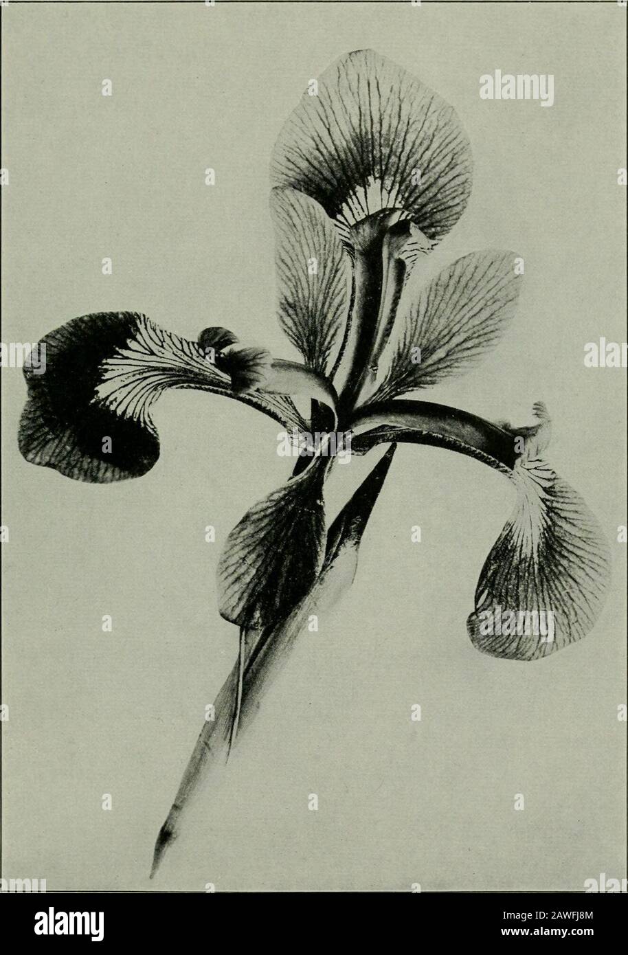 Sarcophagous hi-res stock photography and images - Alamy