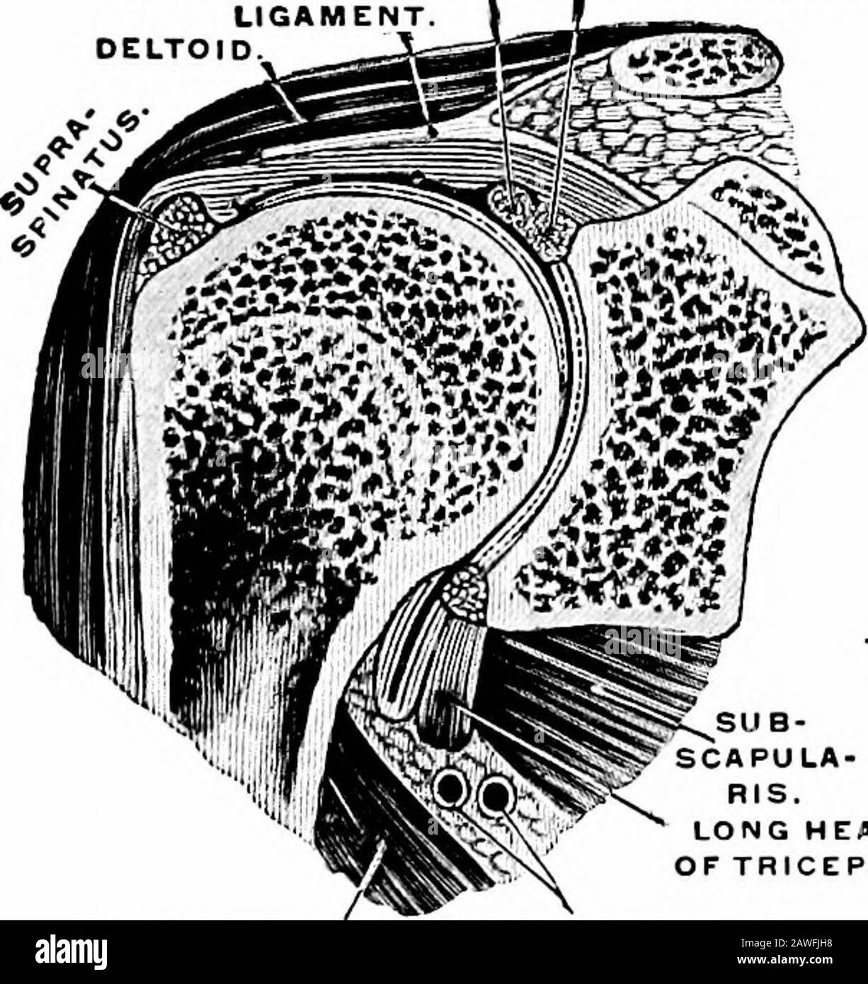 Starting elevation Cut Out Stock Images & Pictures - Alamy