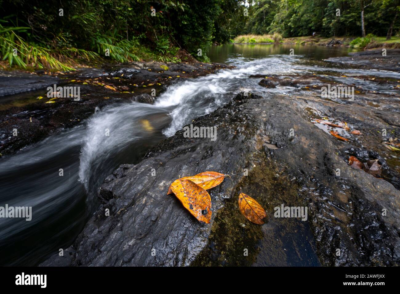 Henrietta Creek, Palmerston Section, Wooroonooran National Park ...