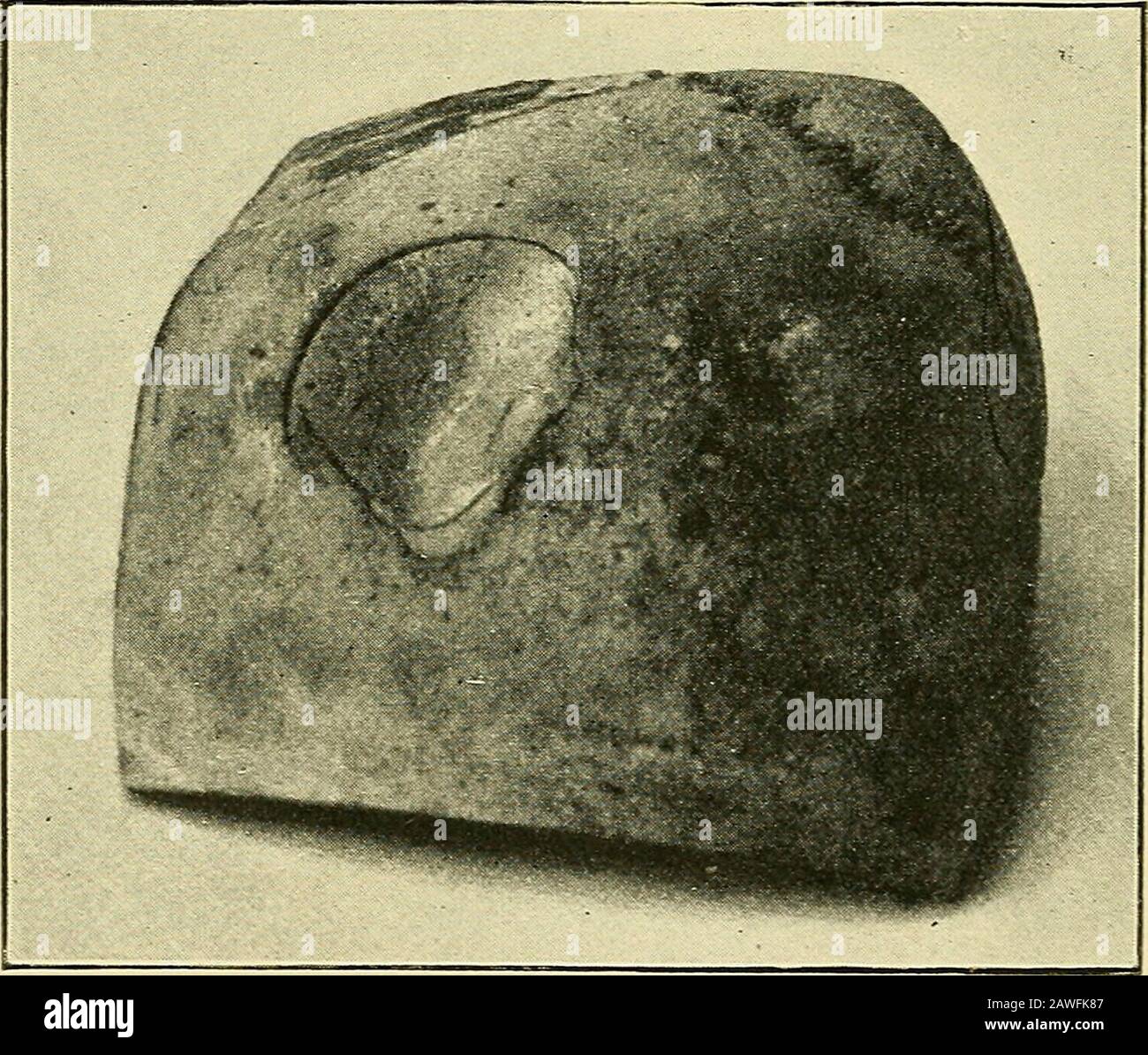Wounds in war : the mechanism of their production and their treatment ...