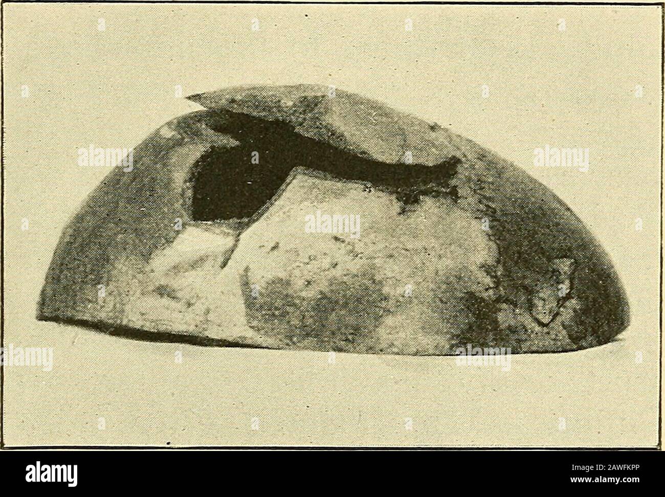 Bringing nearer hi-res stock photography and images - Alamy