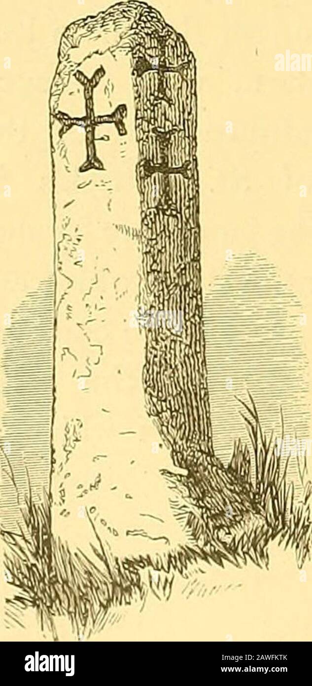 Picturesque Ireland : a literary and artistic delineation of the ...
