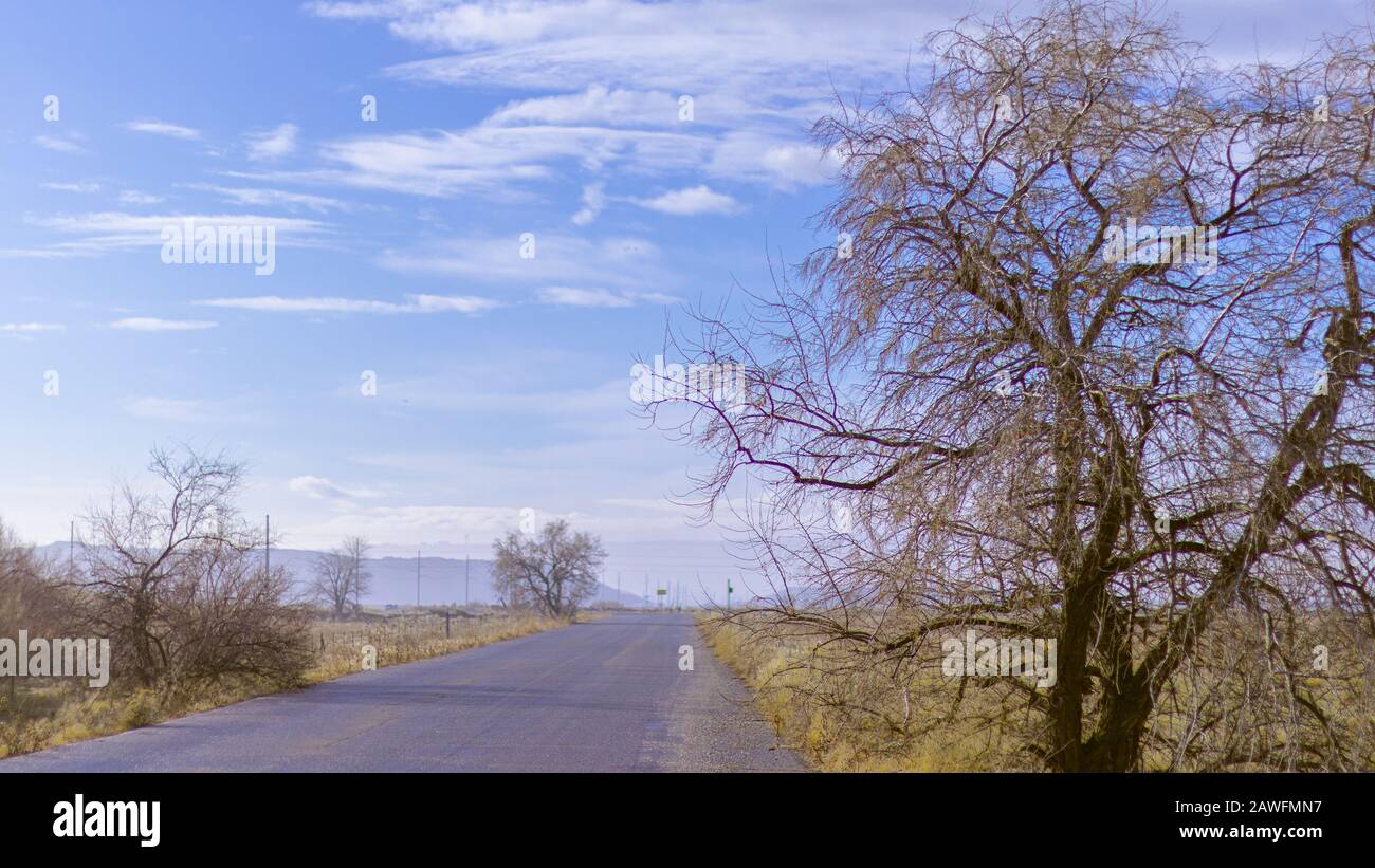 Dead grass desolate road asphalt blue sky and clouds hi-res stock ...