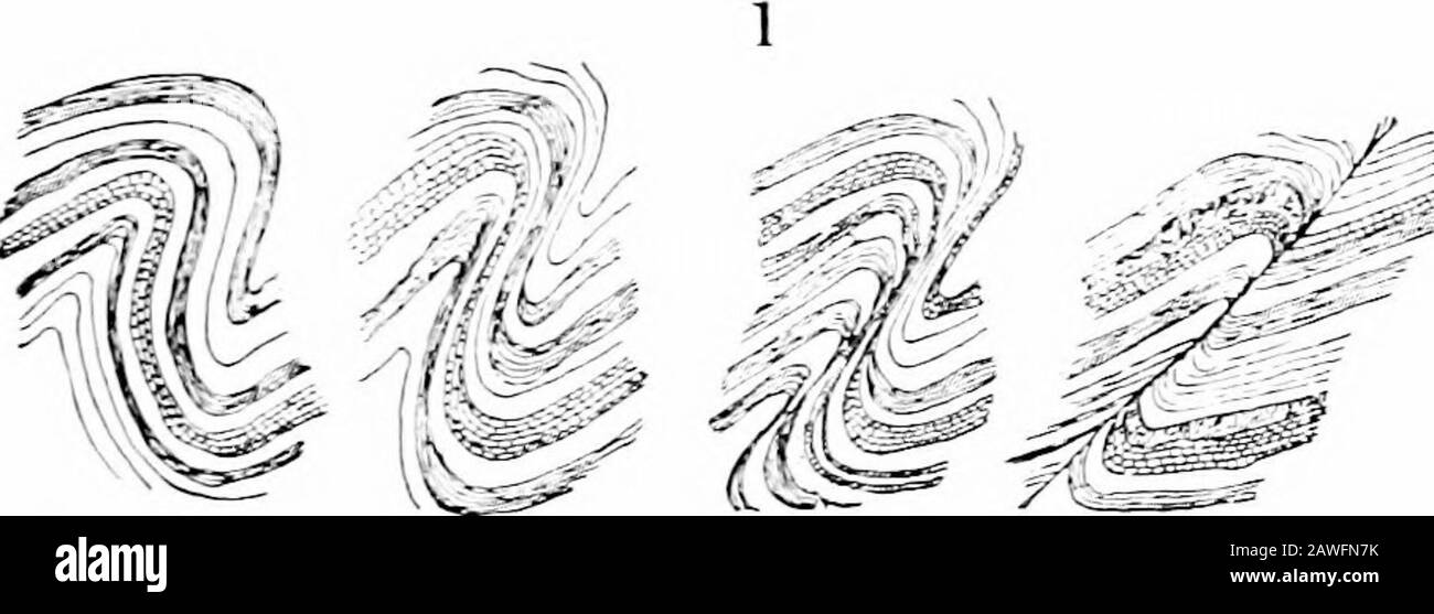 Structural geology . break thrust along which the displacement shown in ...