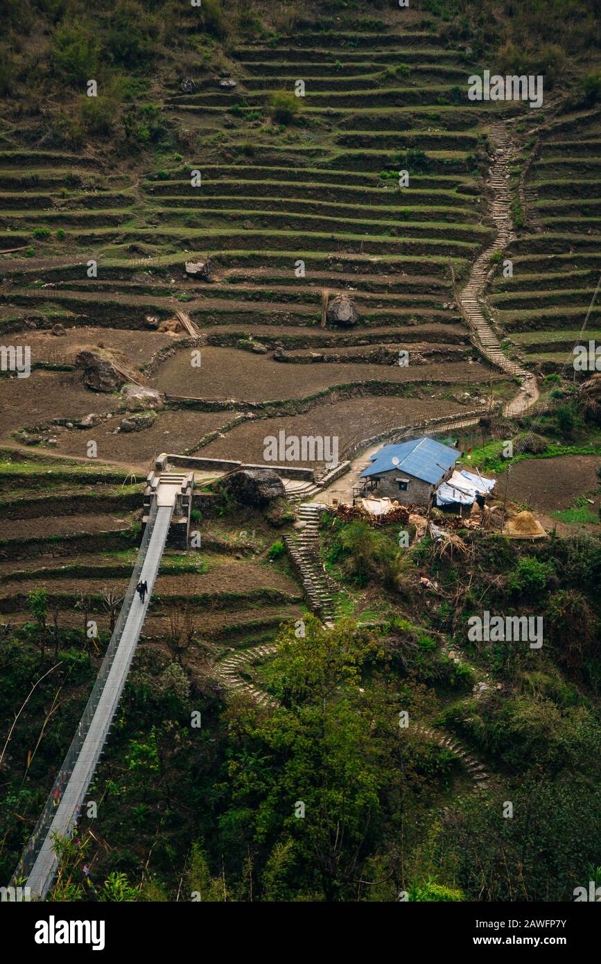 On the rope hanging suspension bridge. Hiking trail on the way at ...