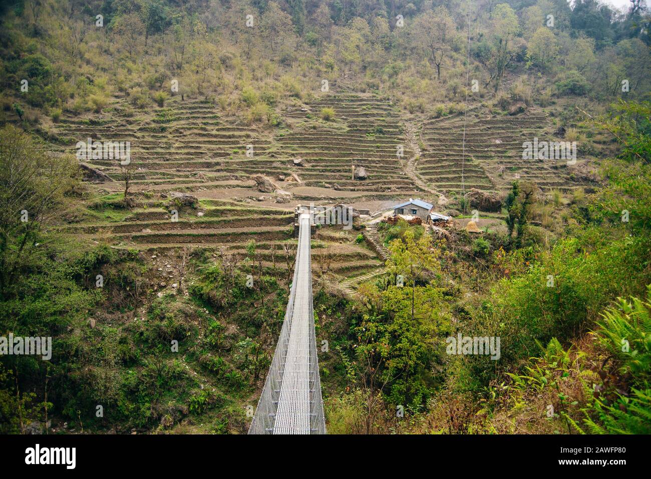 On the rope hanging suspension bridge. Hiking trail on the way at ...