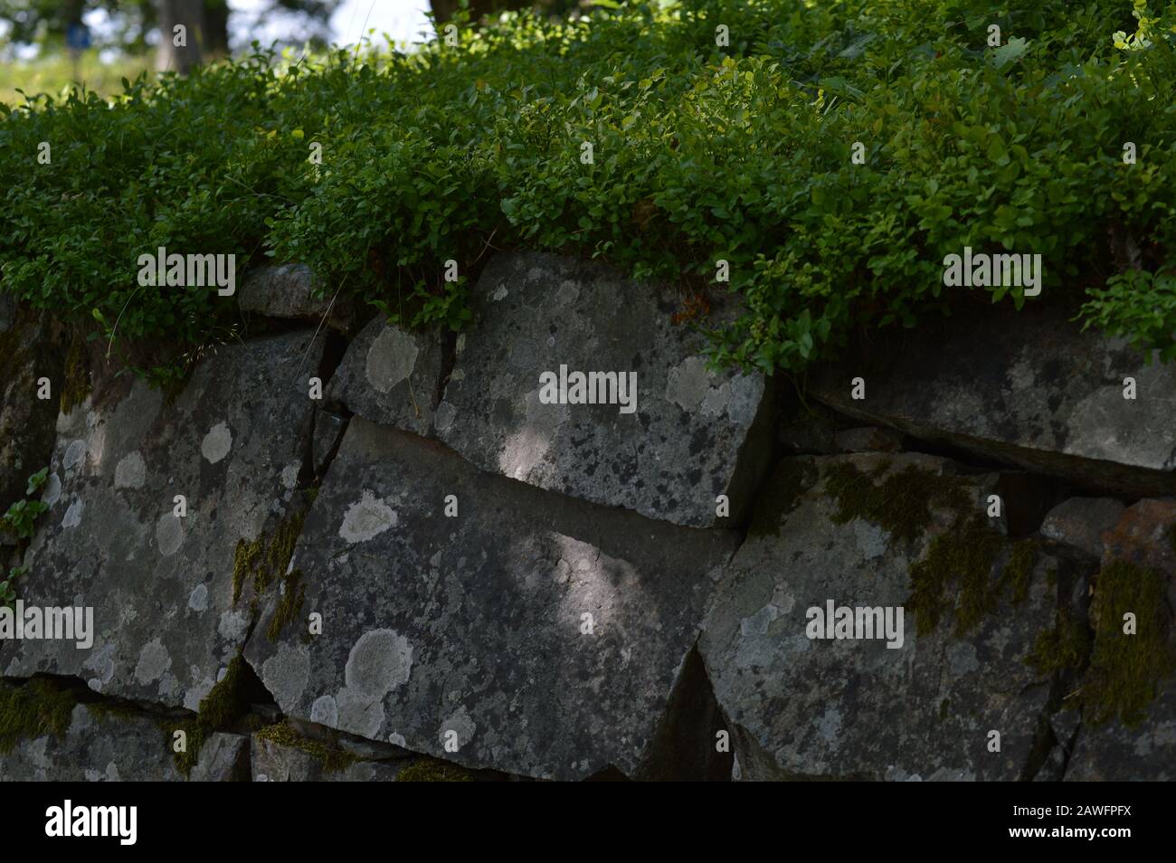 Old brick wall texture moss hi-res stock photography and images - Alamy