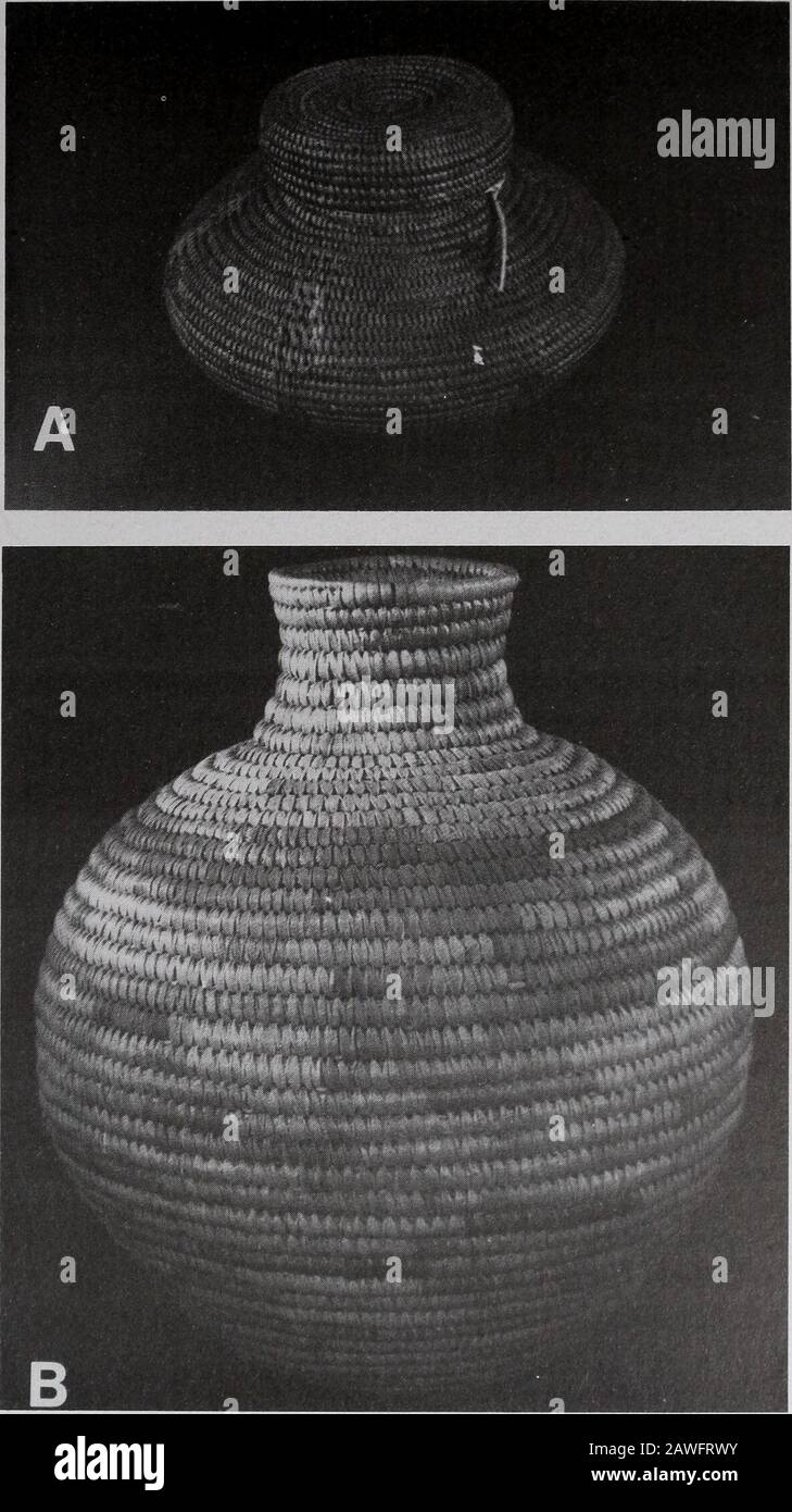 Annals of the South African MuseumAnnale van die Suid-Afrikaanse Museum ...