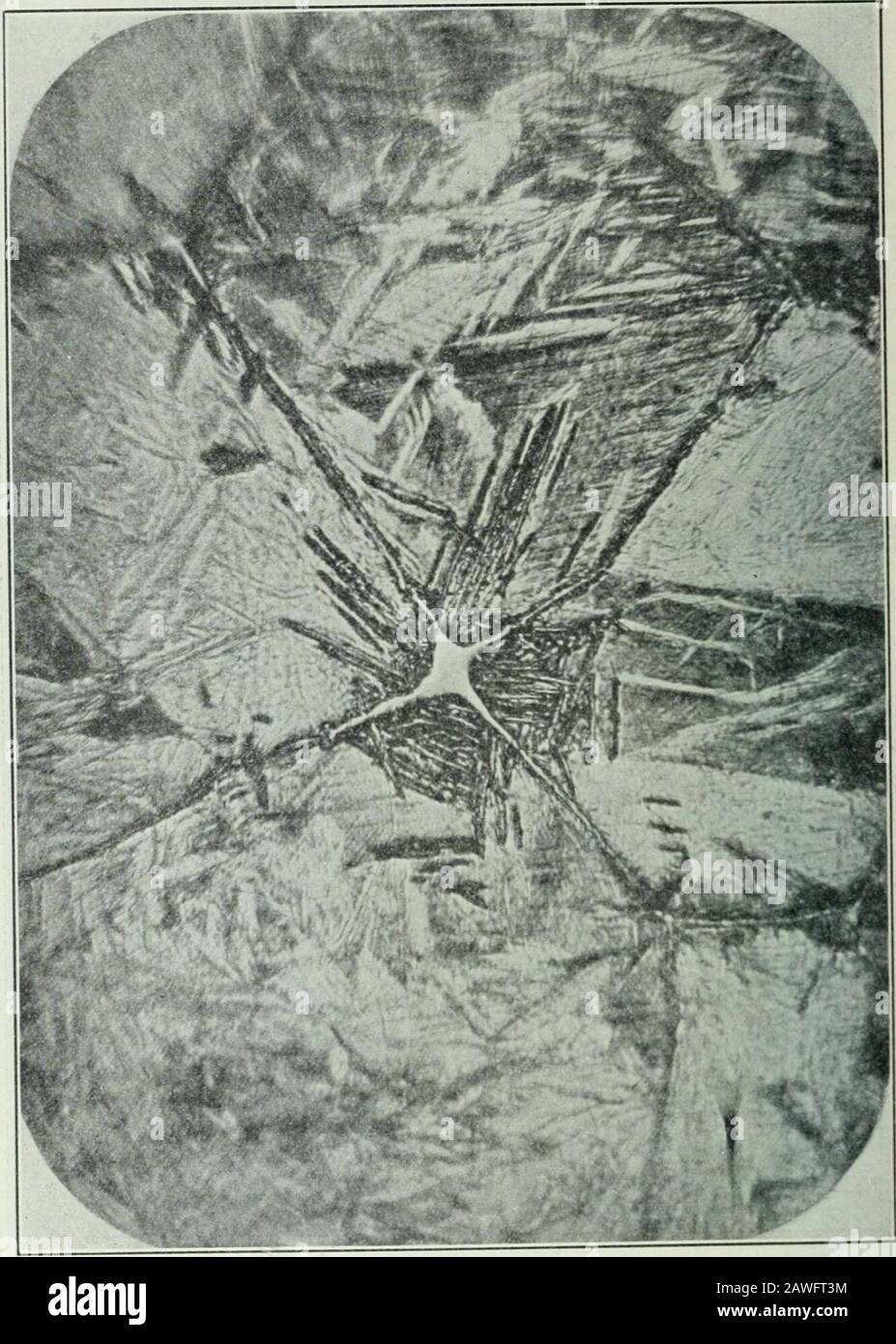 Transactions . Fig. 15.—1.6 Per Cent. Carbon Steel, Quenched in Ice ...