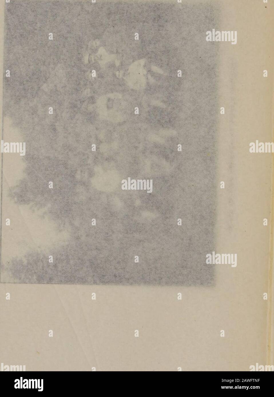 Ambulance no10 : personal letters from the front . AMBULANCE NO. 10 ...