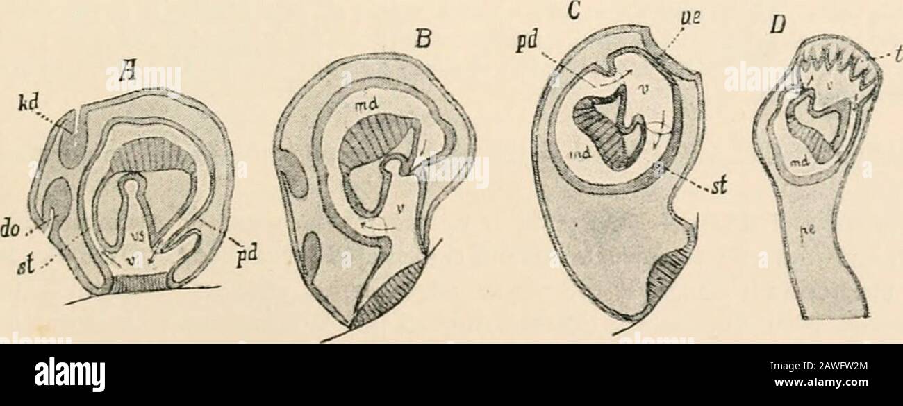 Hi md text hi-res stock photography and images - Alamy