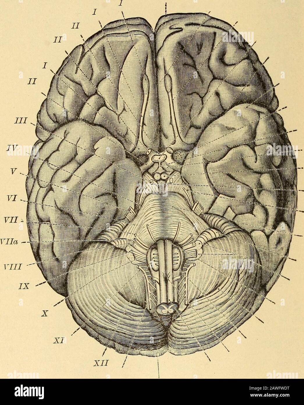 Commu nicate hi-res stock photography and images - Alamy