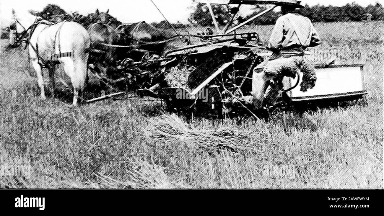 Productive farming . to thresh or to put in stacks. In the driest ...