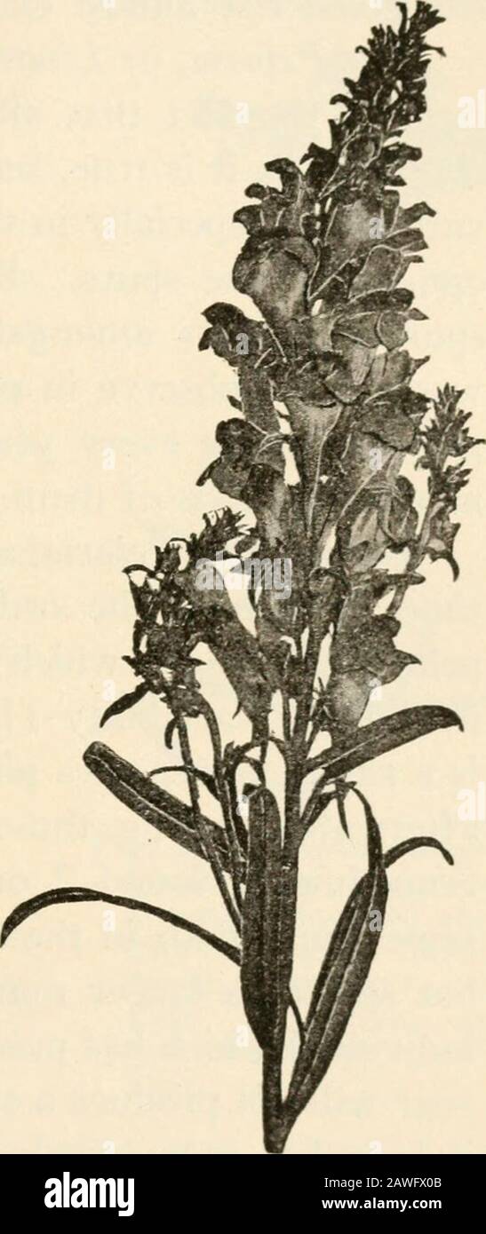 The mutation theory; experiments and observations on the origin of ...