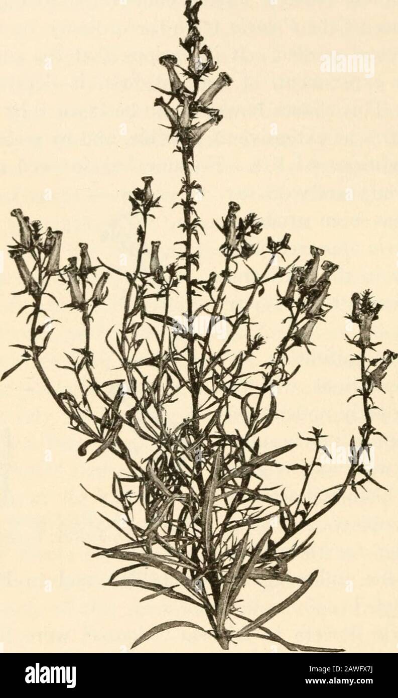 The mutation theory; experiments and observations on the origin of ...