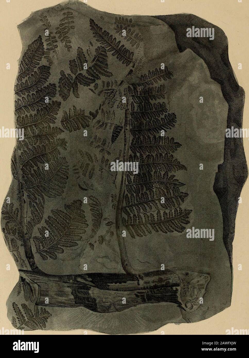 Elsecar colliery hi-res stock photography and images - Alamy