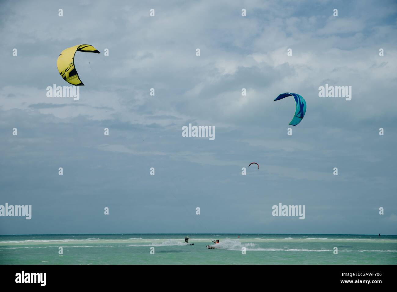 mexico, island holbox - february 2020 Kite surfing at holbox island in ...