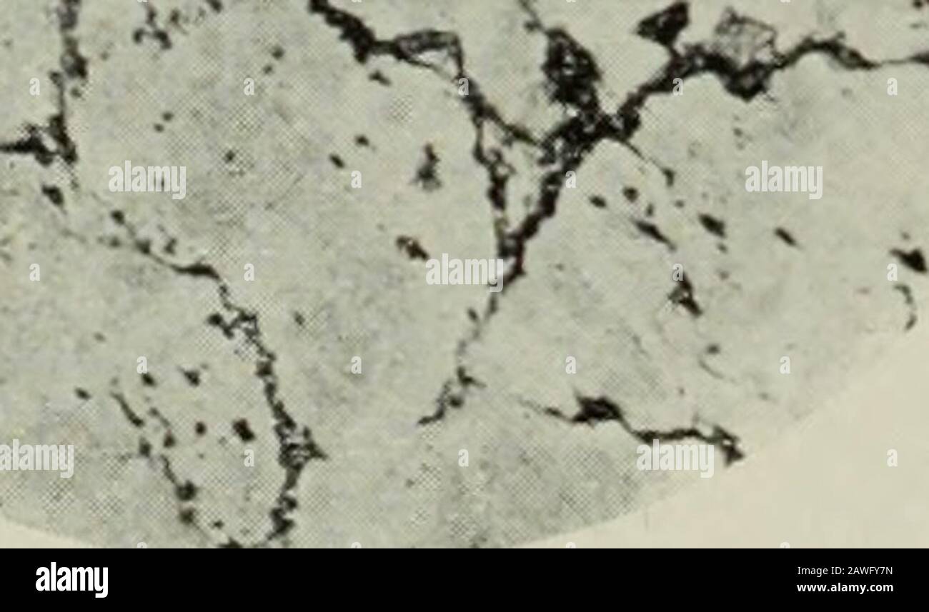 Telluride of gold hi-res stock photography and images - Alamy