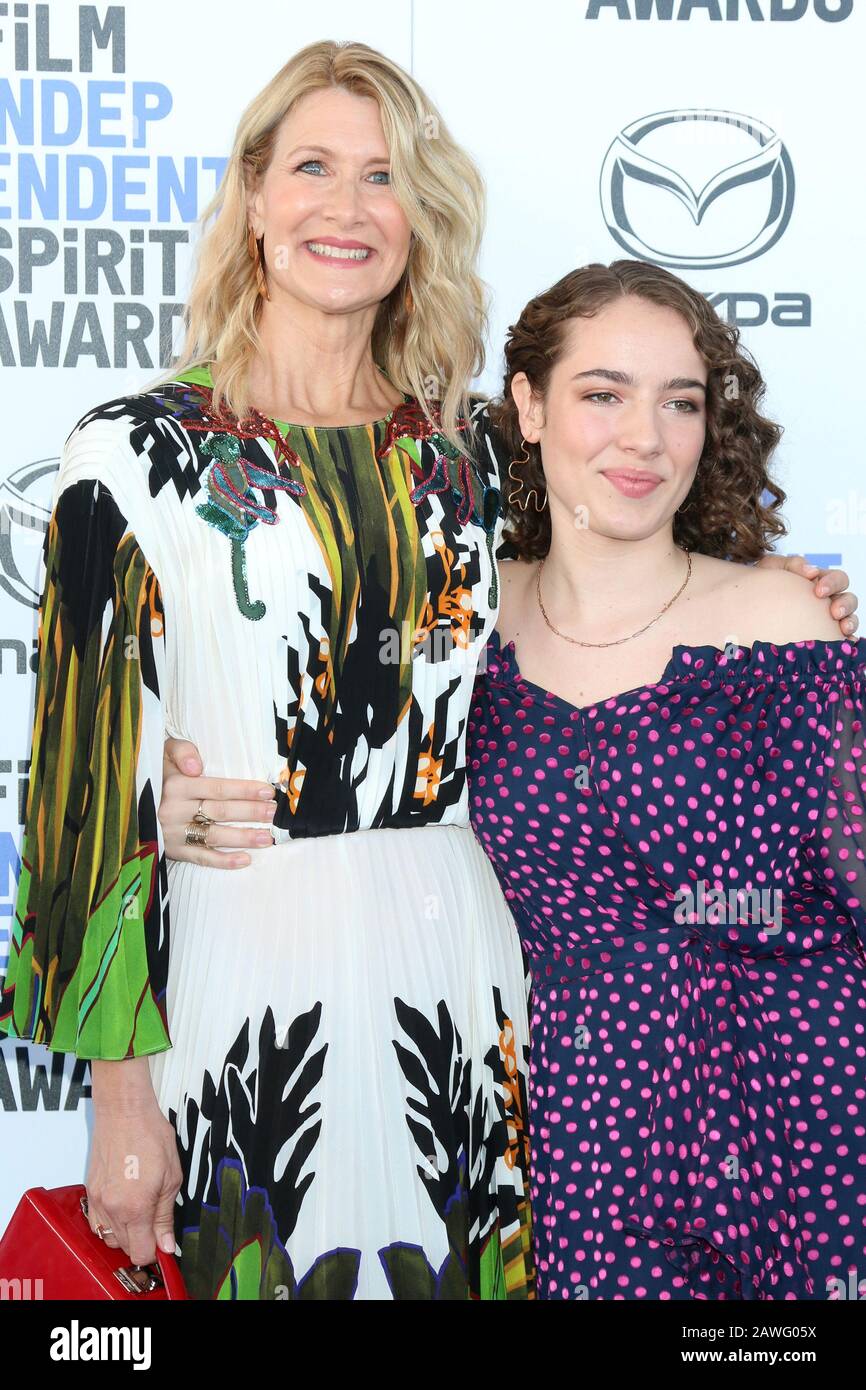 Laura dern jaya harper hi-res stock photography and images - Alamy