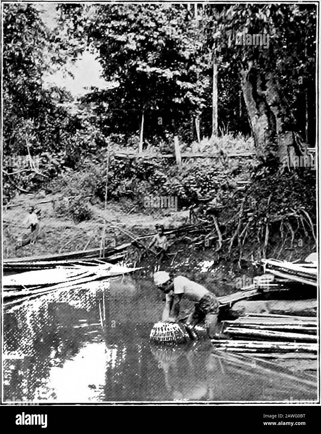 Monkey taking food from people Black and White Stock Photos & Images ...