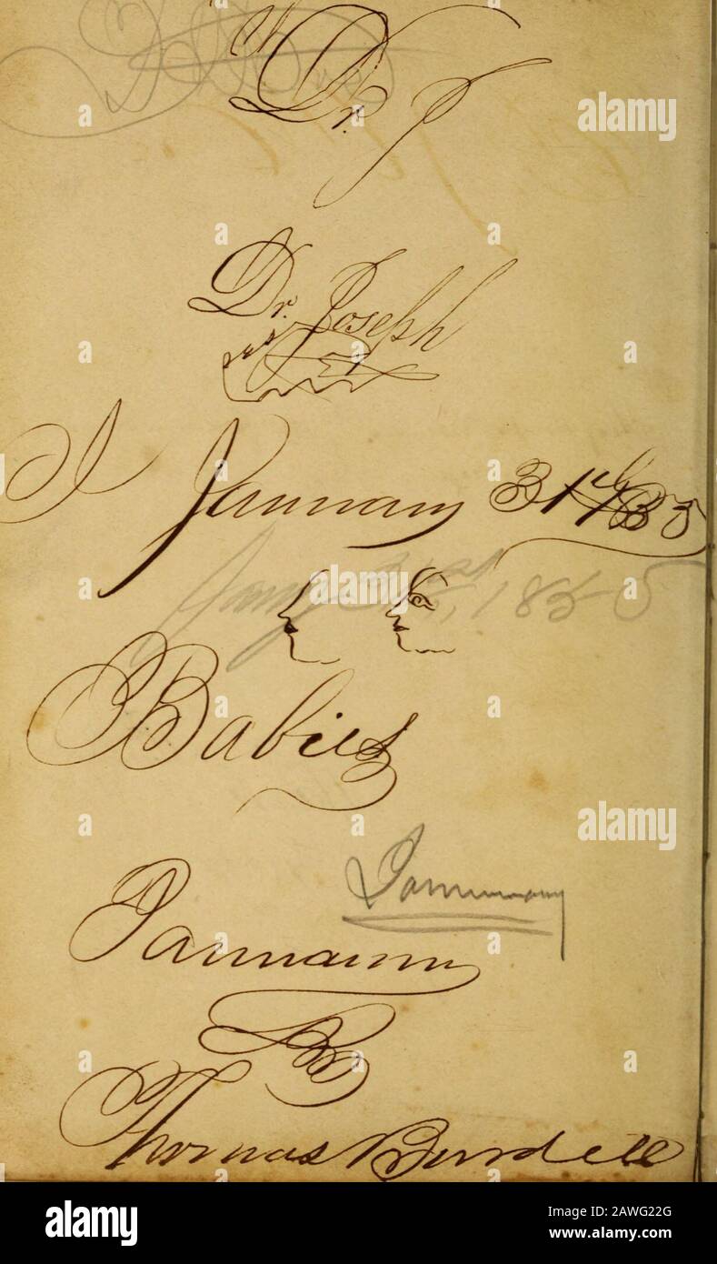 Aeve hi-res stock photography and images - Alamy