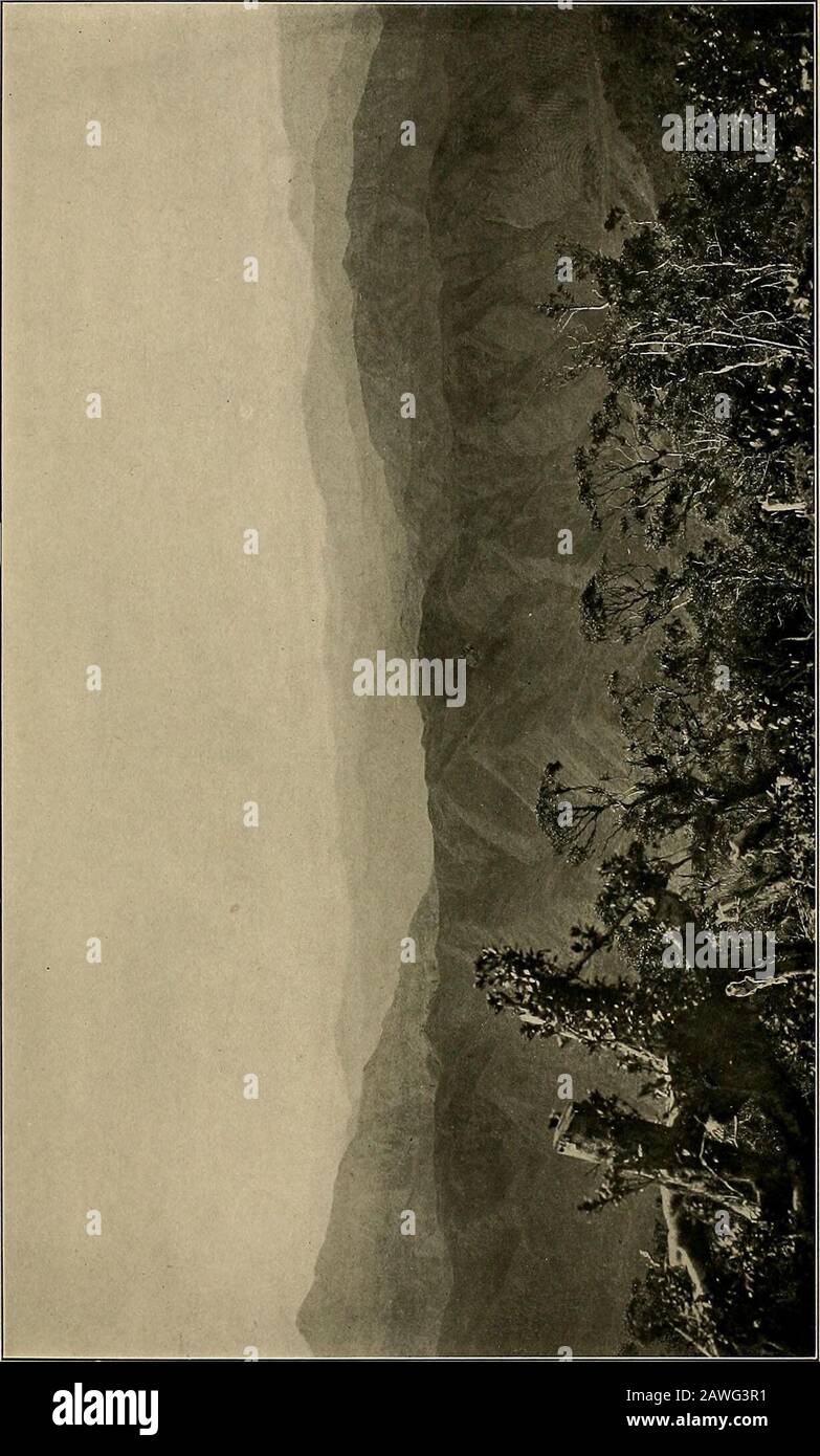 The Philippine journal of science . Fig. 3. THE HIGHEST PEAK OF THE ...