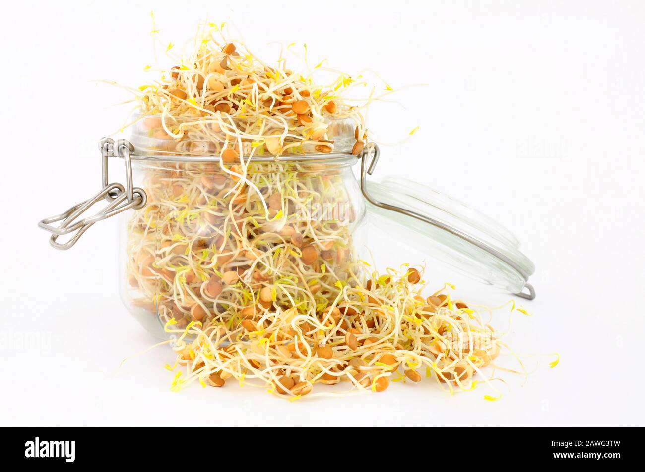 Seed sprouting in brown hi-res stock photography and images - Alamy