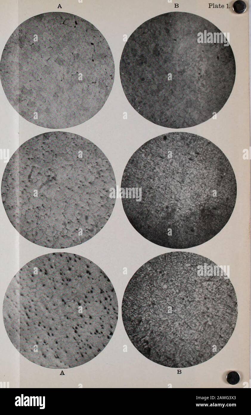 Micrograph paper hi-res stock photography and images - Alamy