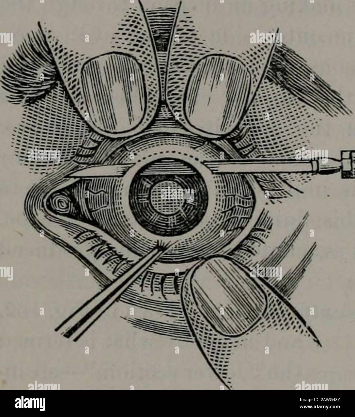 The people's common sense medical adviser in plain English, or ...