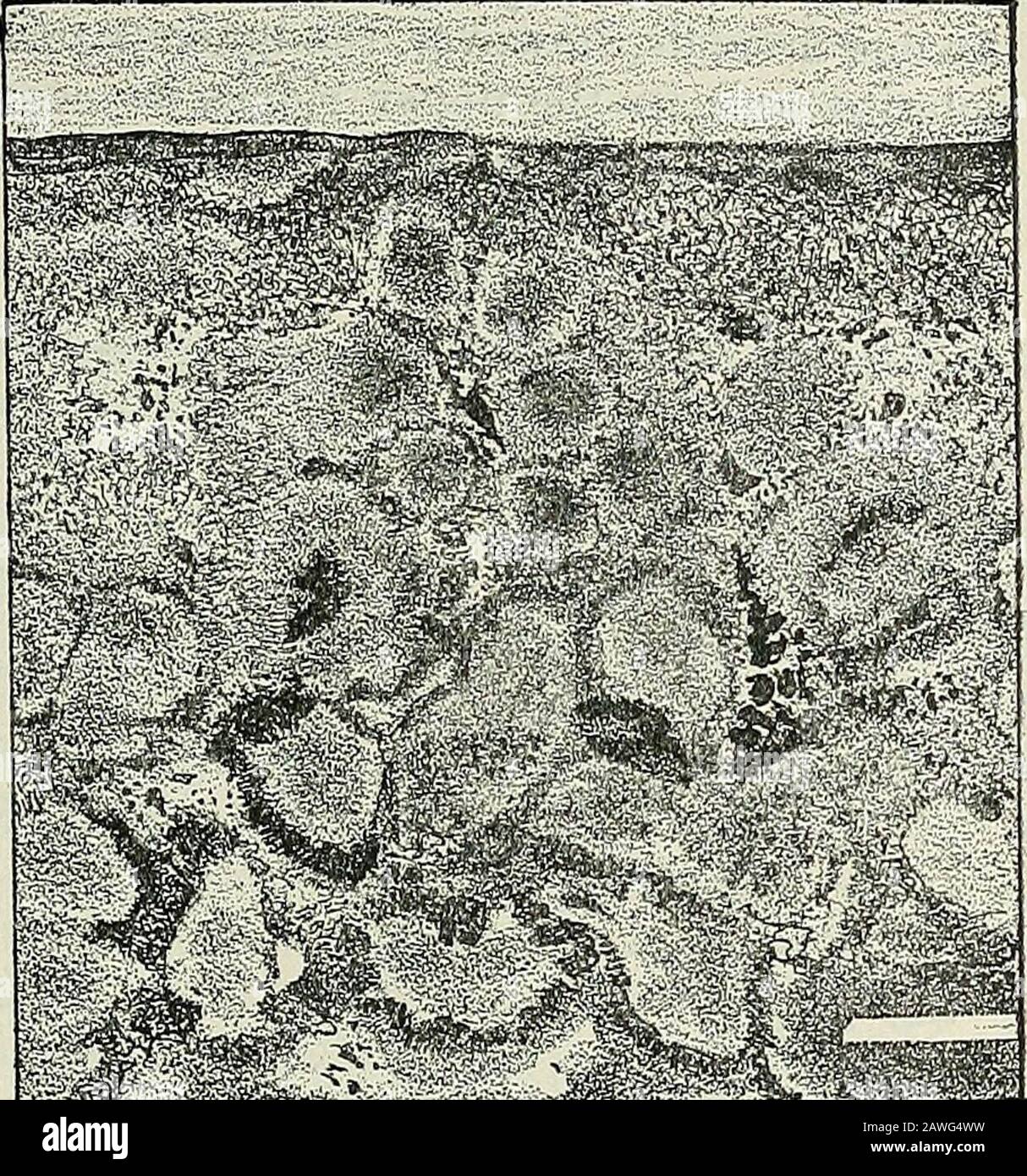 Map of basalt hi-res stock photography and images - Alamy