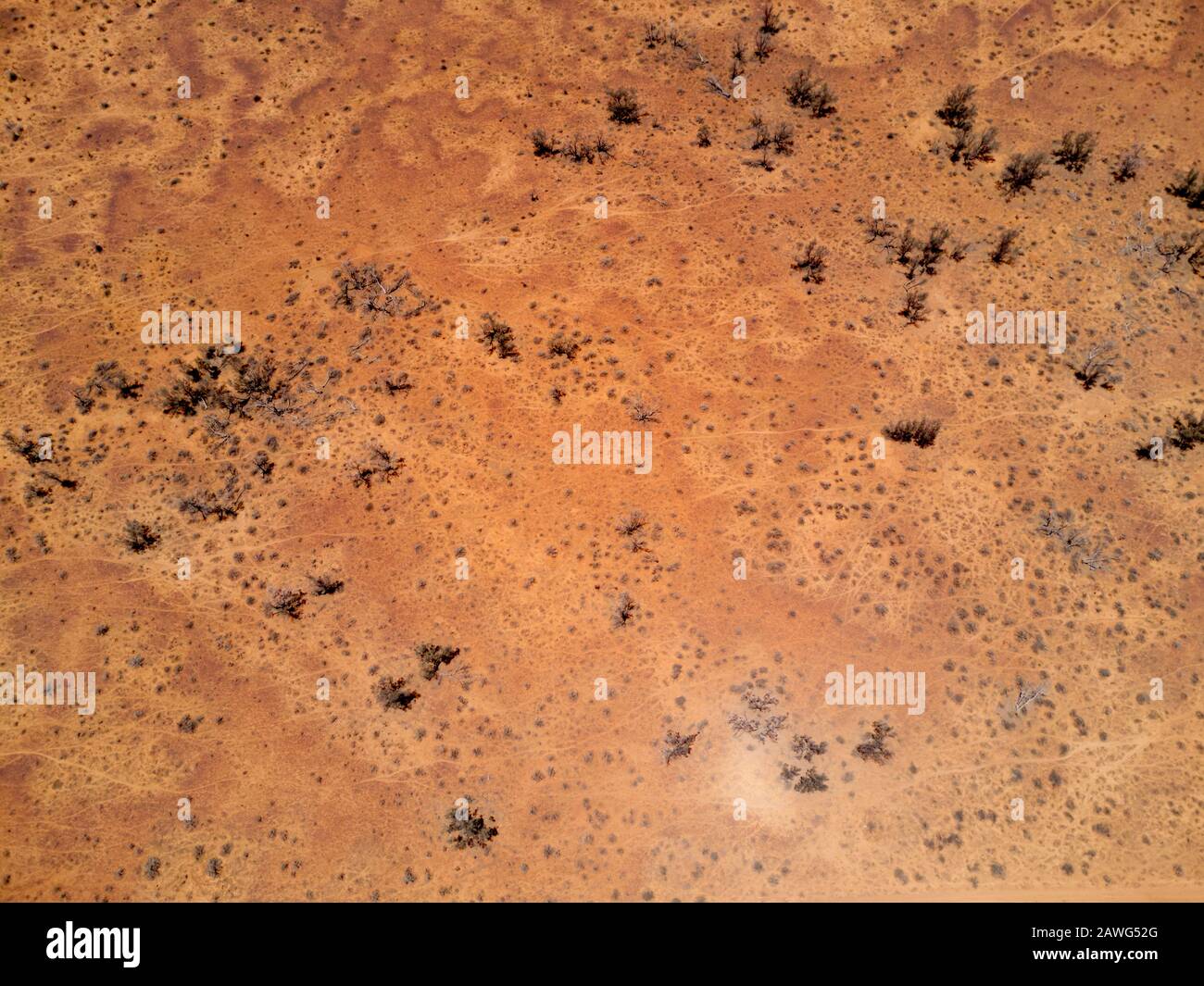 Sheep tracks hi-res stock photography and images - Alamy