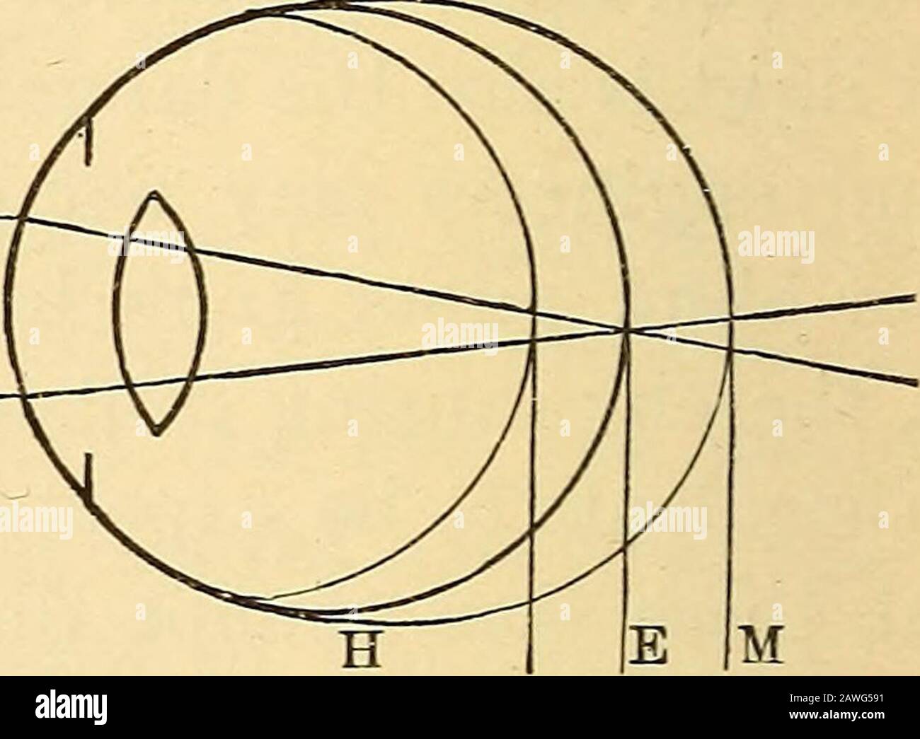 Anatomy, physiology and hygiene . ^e are focussed in front of the ...