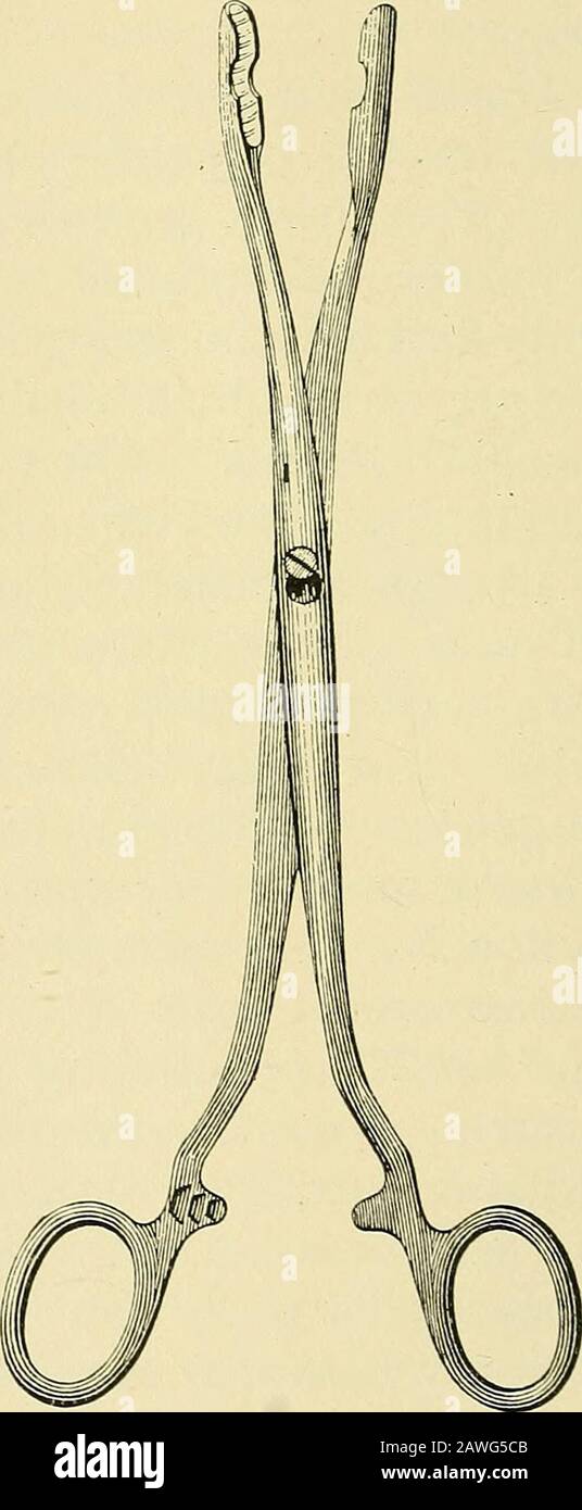 30 messrs hi-res stock photography and images - Alamy