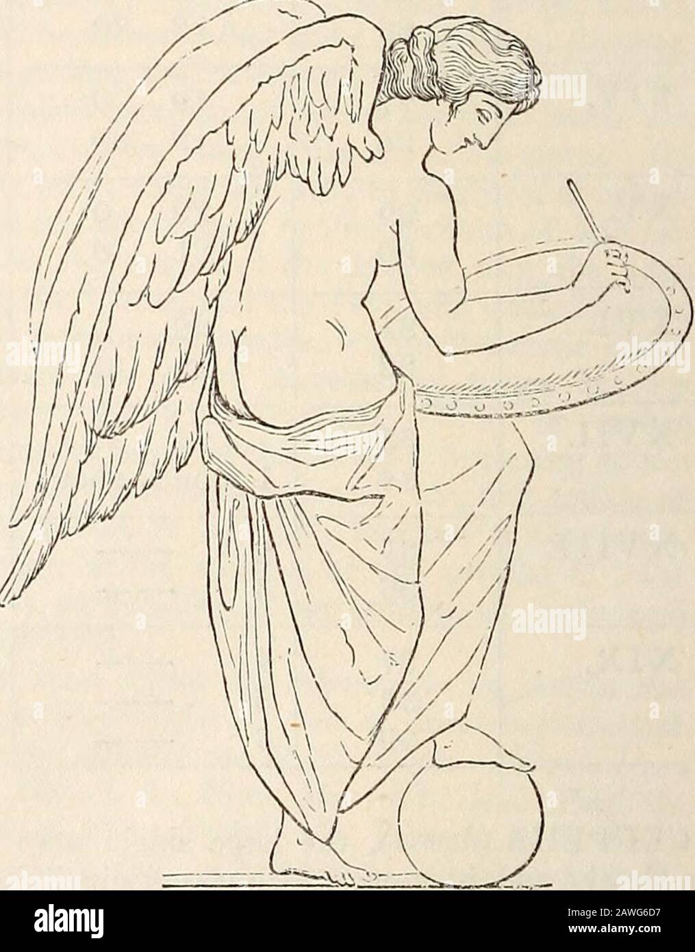 Clipeus hi-res stock photography and images - Alamy