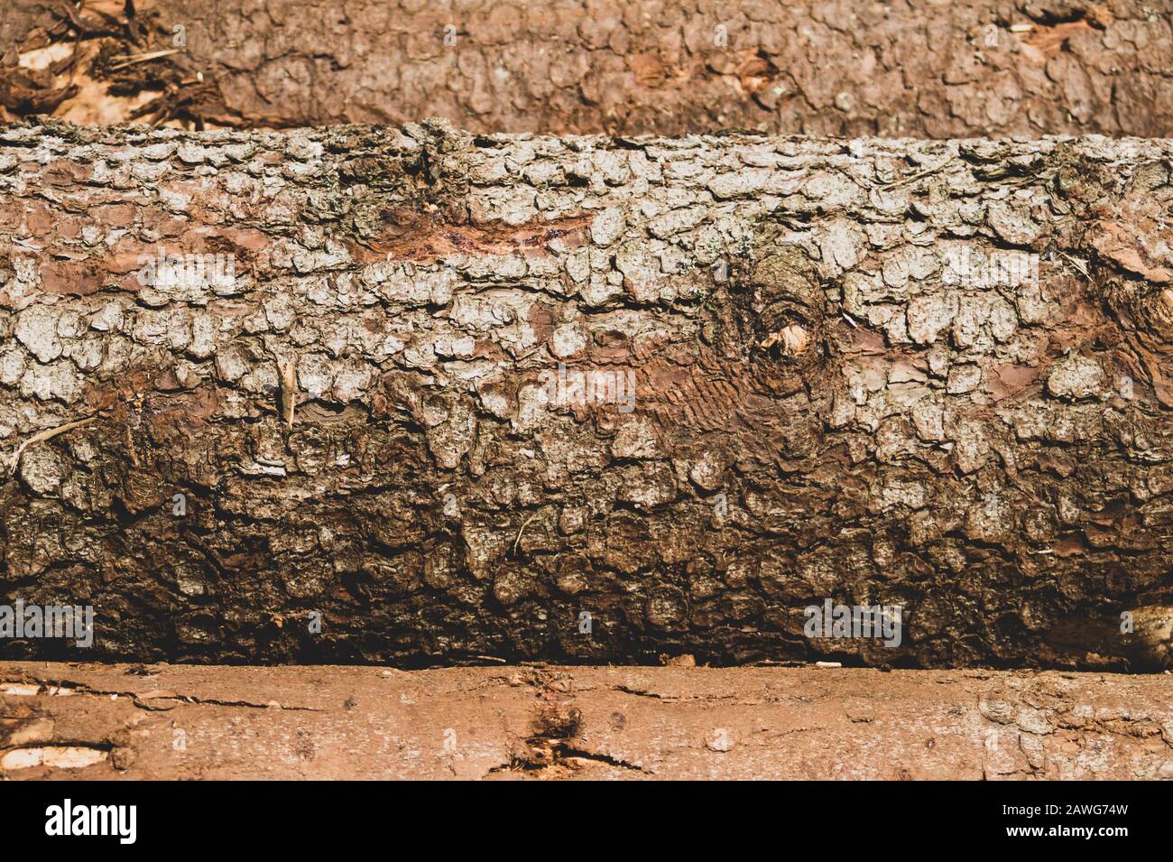 Untreated lumber hi-res stock photography and images - Alamy