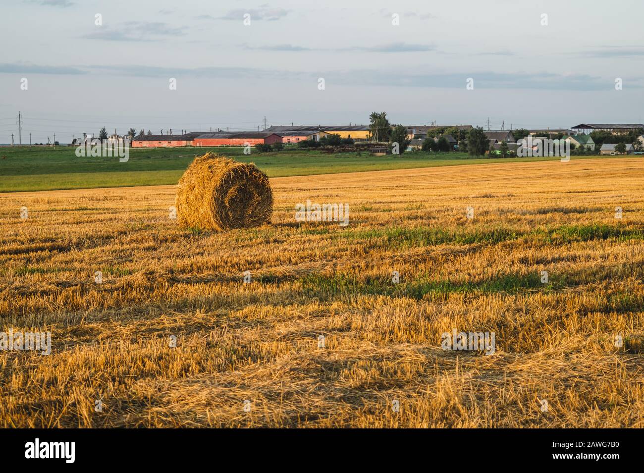Yellow hay field haystack hi-res stock photography and images - Alamy