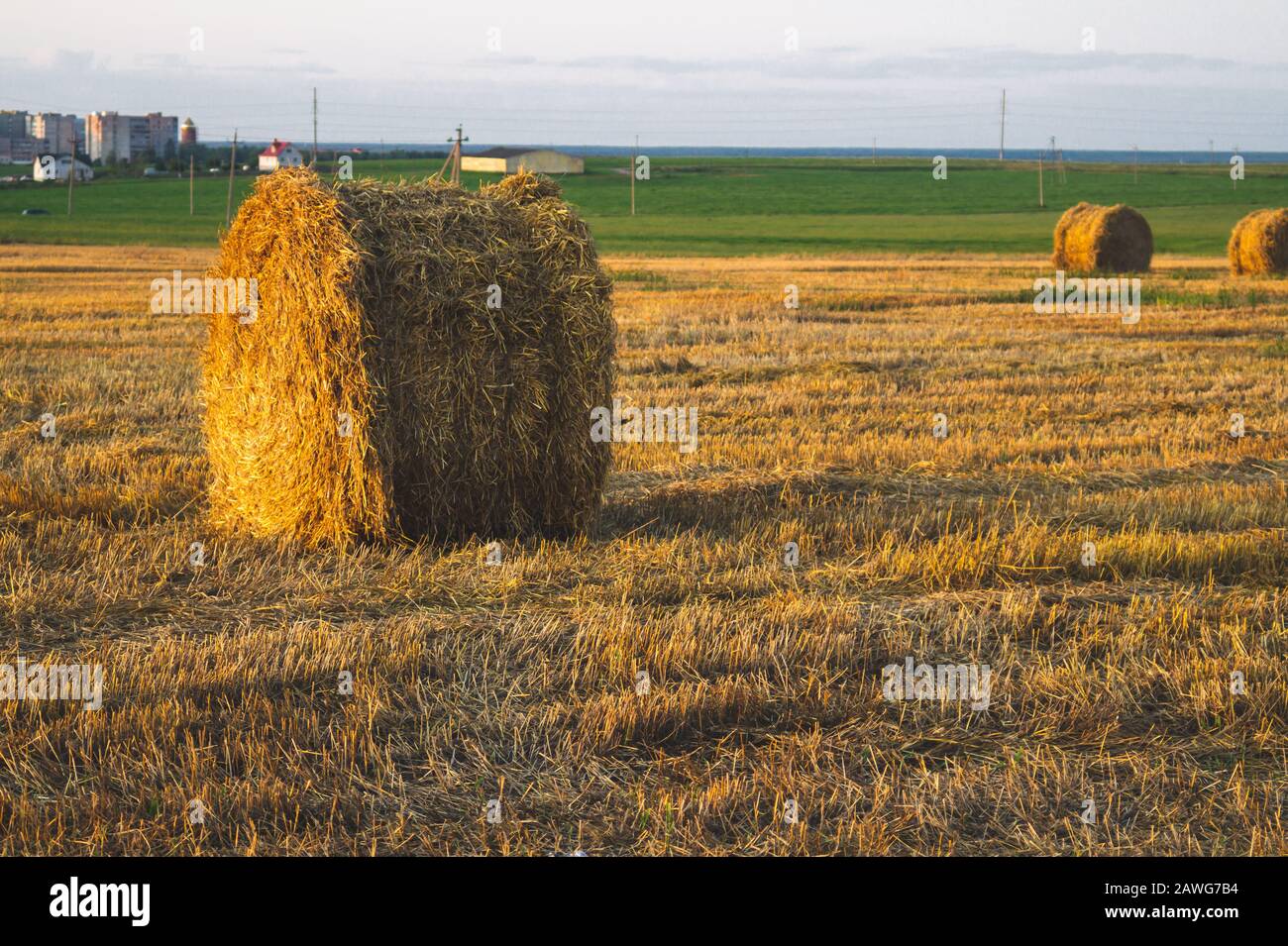 Yellow hay field haystack hi-res stock photography and images - Alamy