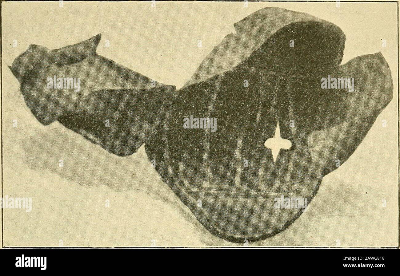 4 cordite hi-res stock photography and images - Alamy