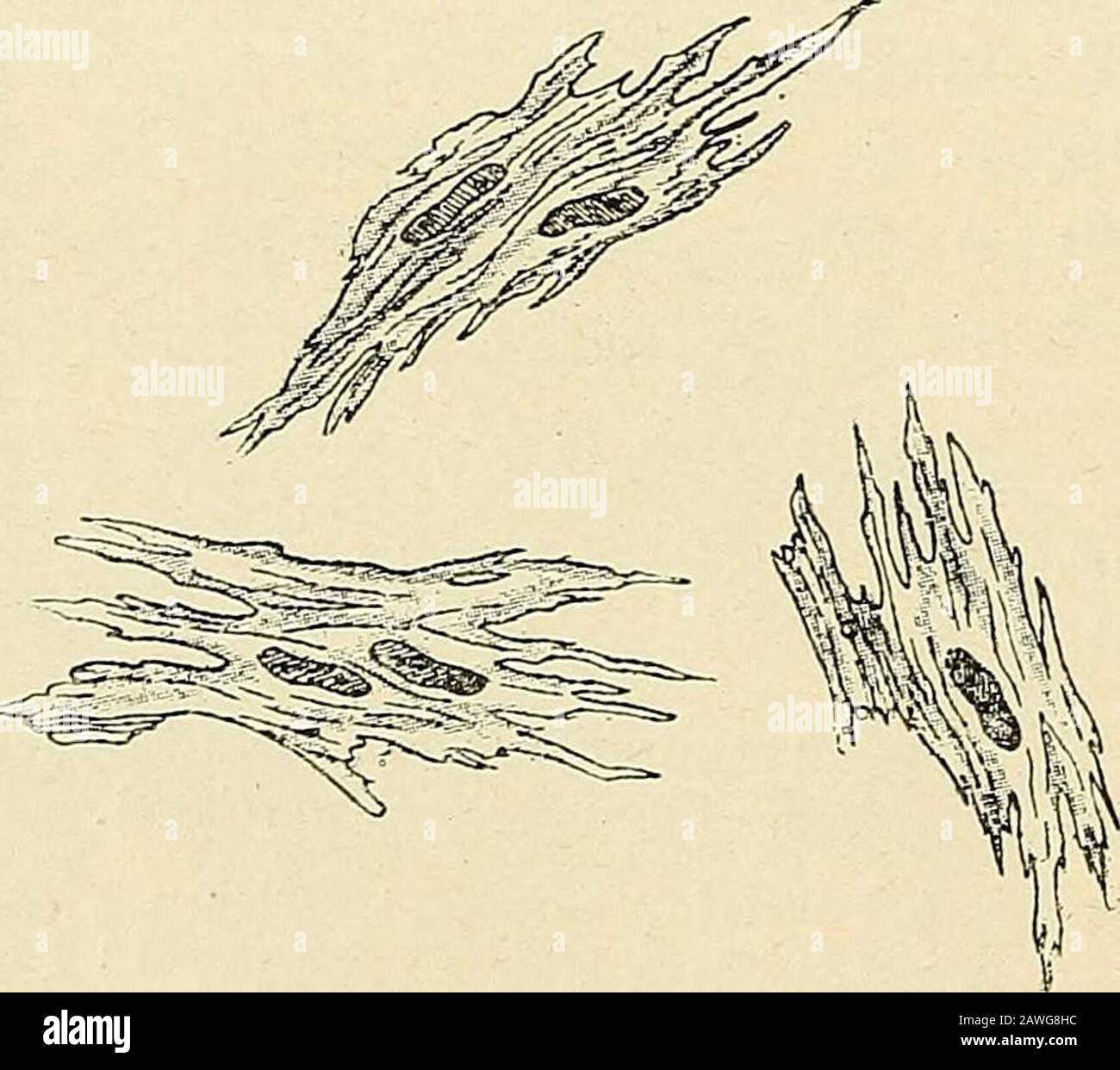 6 ces hi-res stock photography and images - Alamy