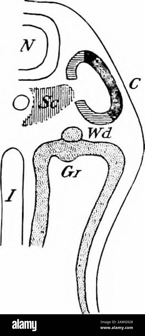 Metamere hi-res stock photography and images - Alamy