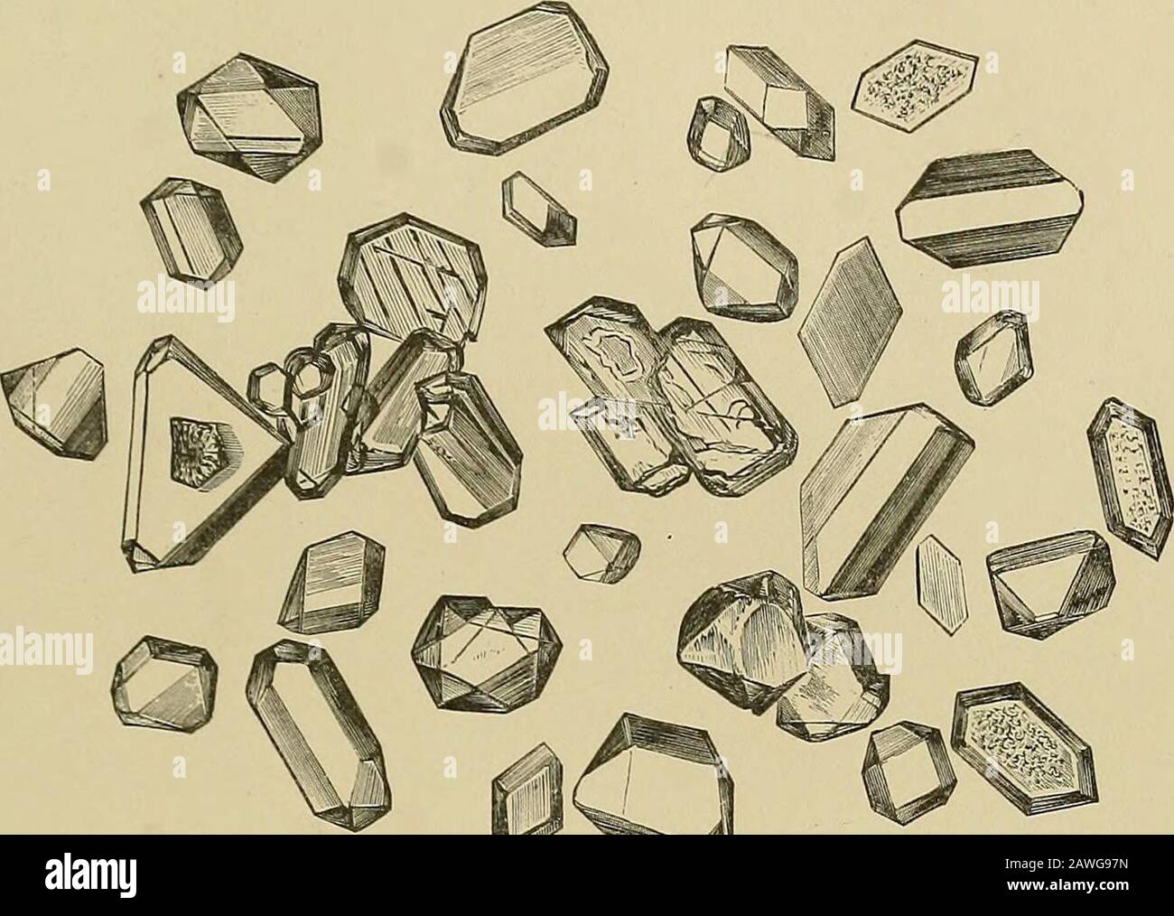 Urates hi-res stock photography and images - Alamy